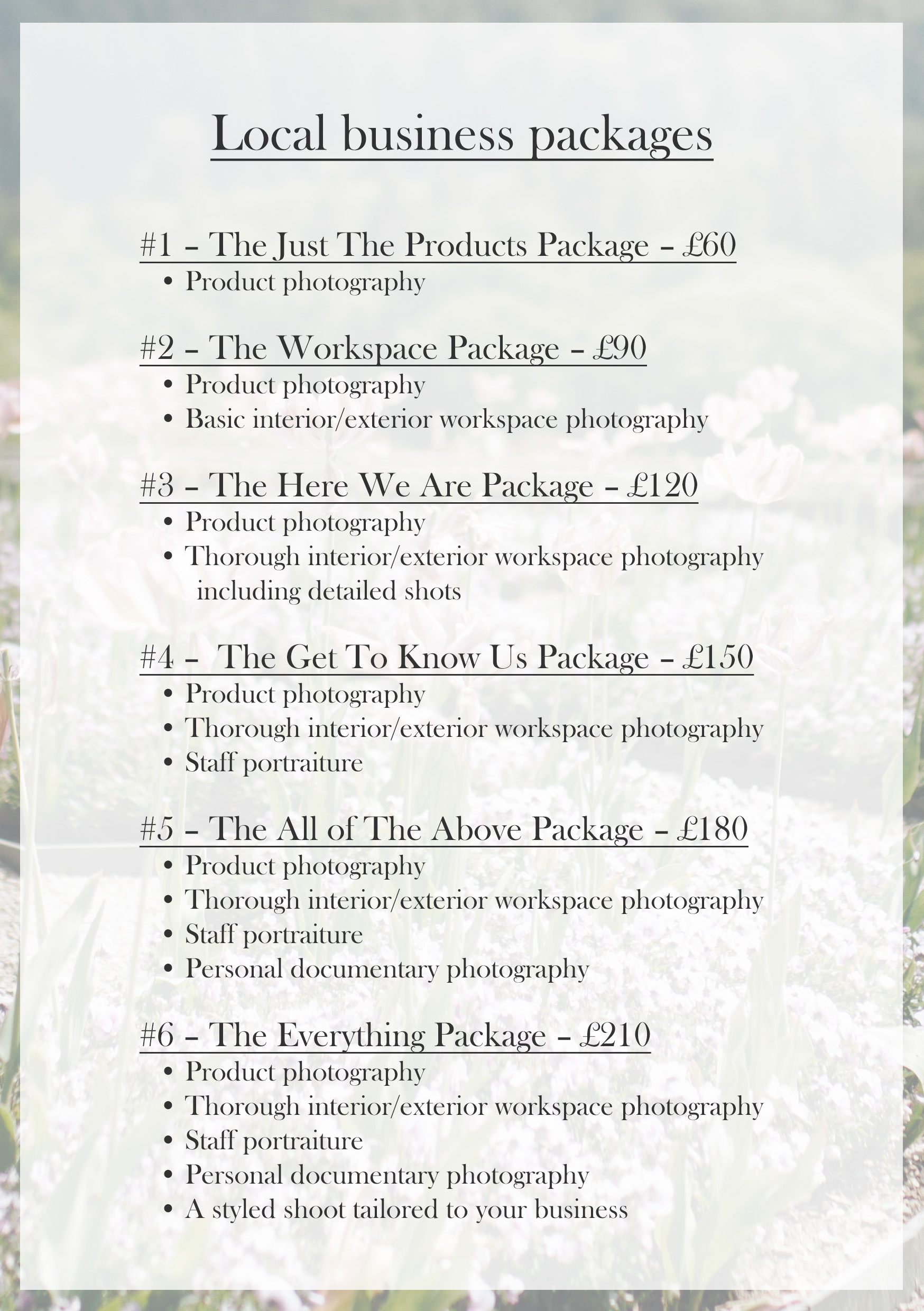 Business packages – Lauren Dillon Photography